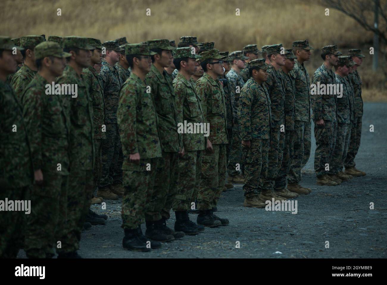 Japan Ground Self-Defense Force Members with the 12th Infantry Regiment ...