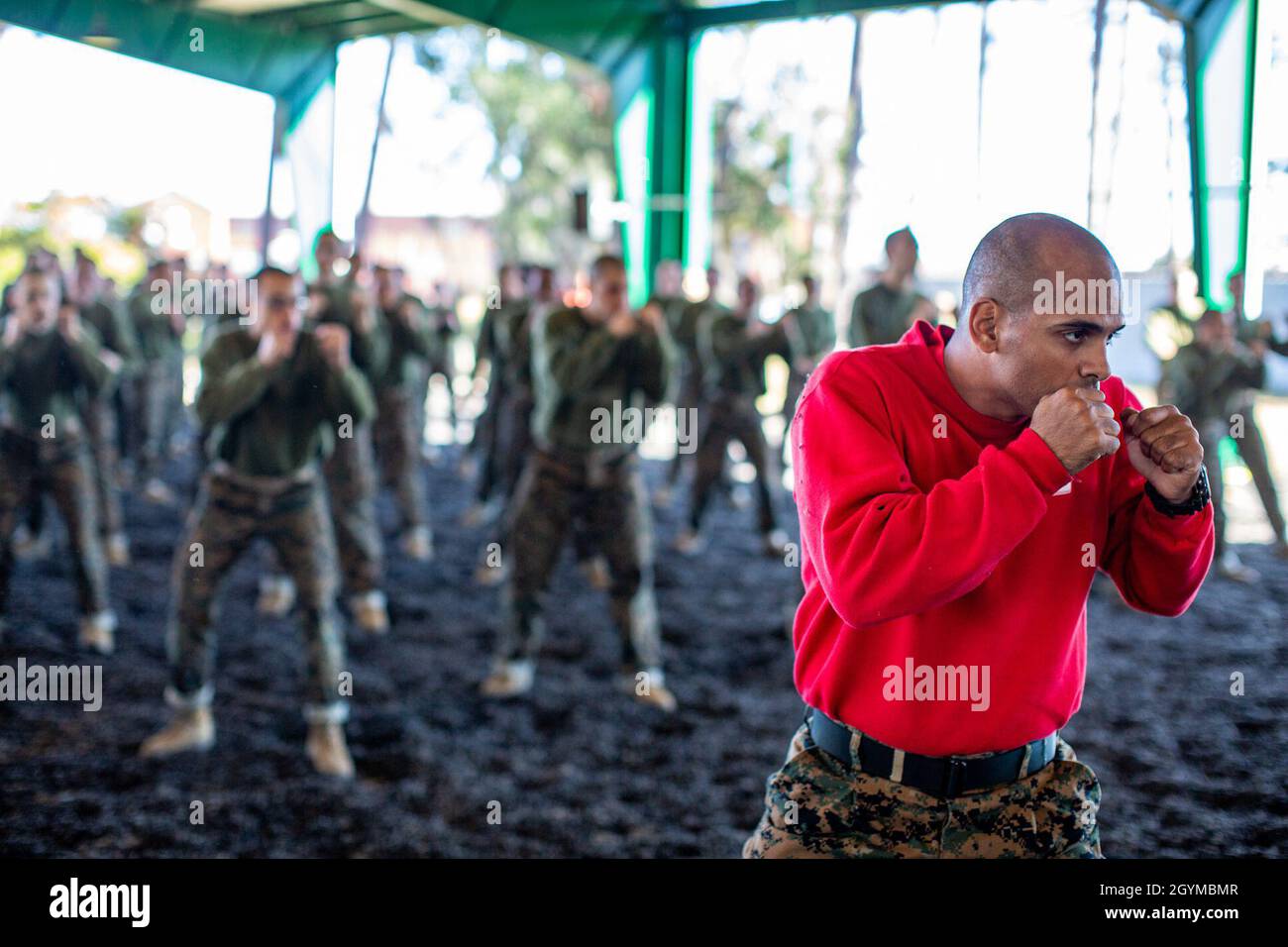 Recruits and drill insturctors with Charlie Company, 1st Recruit ...
