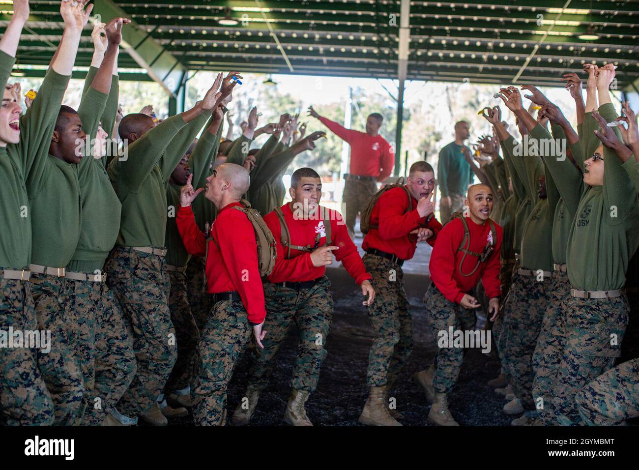 Drill Instructors with Charlie Company, 1st Recruit Training Battalion ...