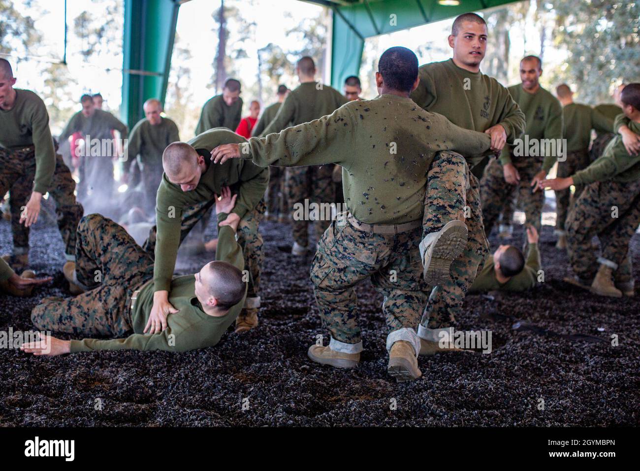 Recruits with Charlie Company, 1st Recruit Training Battalion practice falls, rolls and leg ...