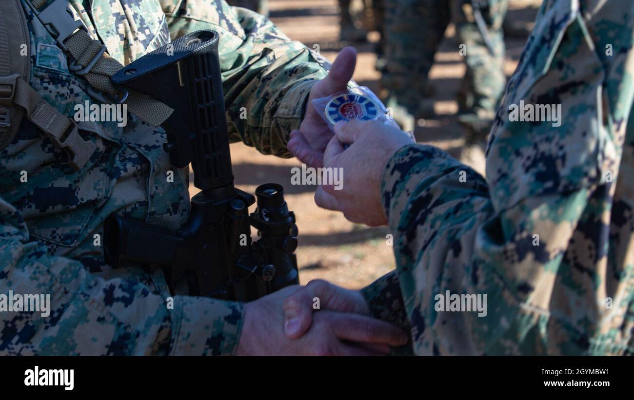 U.S. Marine Corps Col. Andrew Priddy commanding officer of the 13th ...
