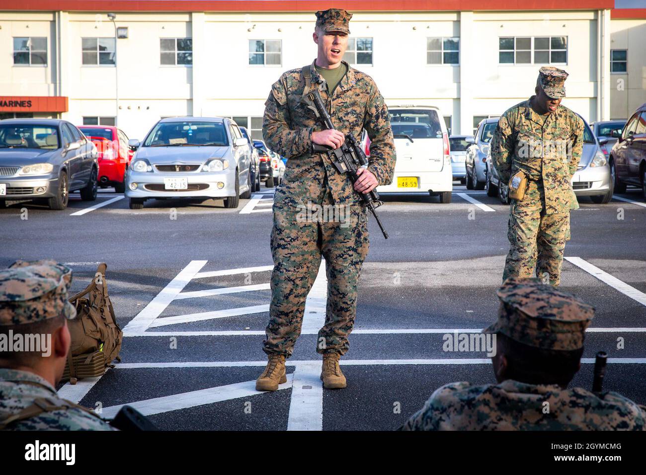 Savannah mesimer hi-res stock photography and images - Alamy