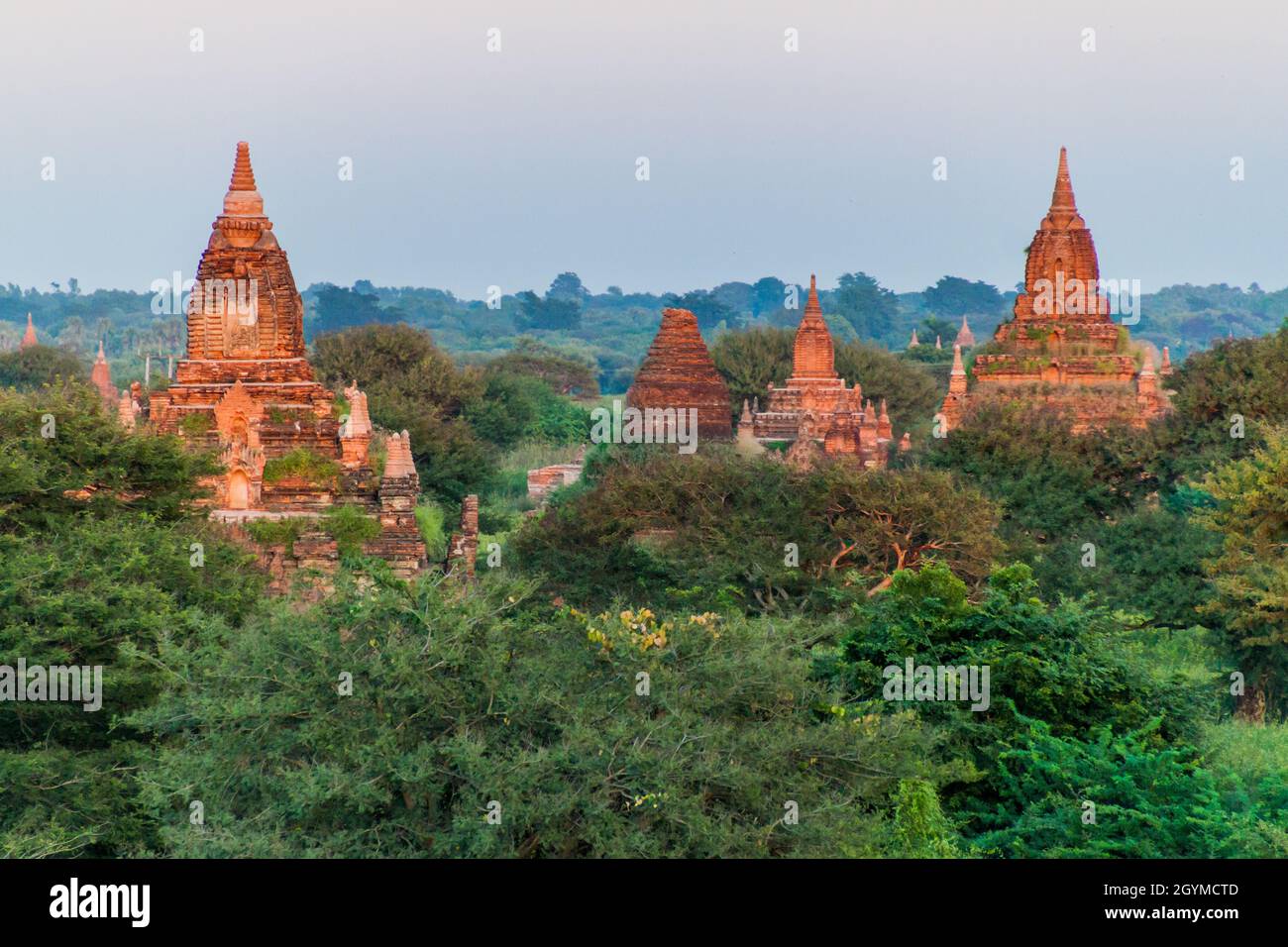 Skyline of Bagan temples, Myanmar Stock Photo - Alamy