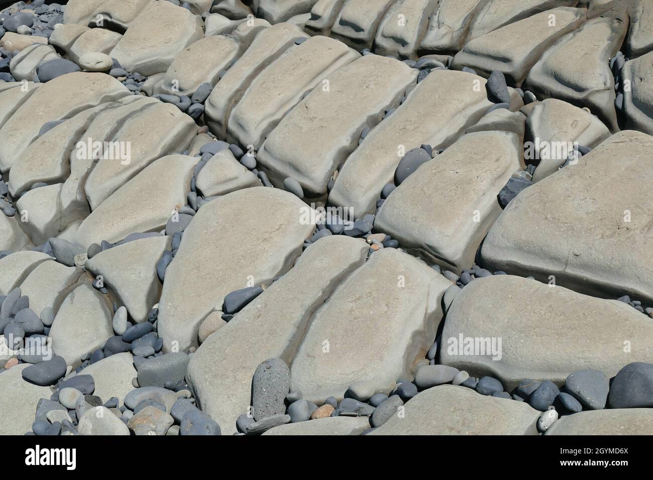 Geometric mudstone formations on Oregon beach Stock Photo - Alamy