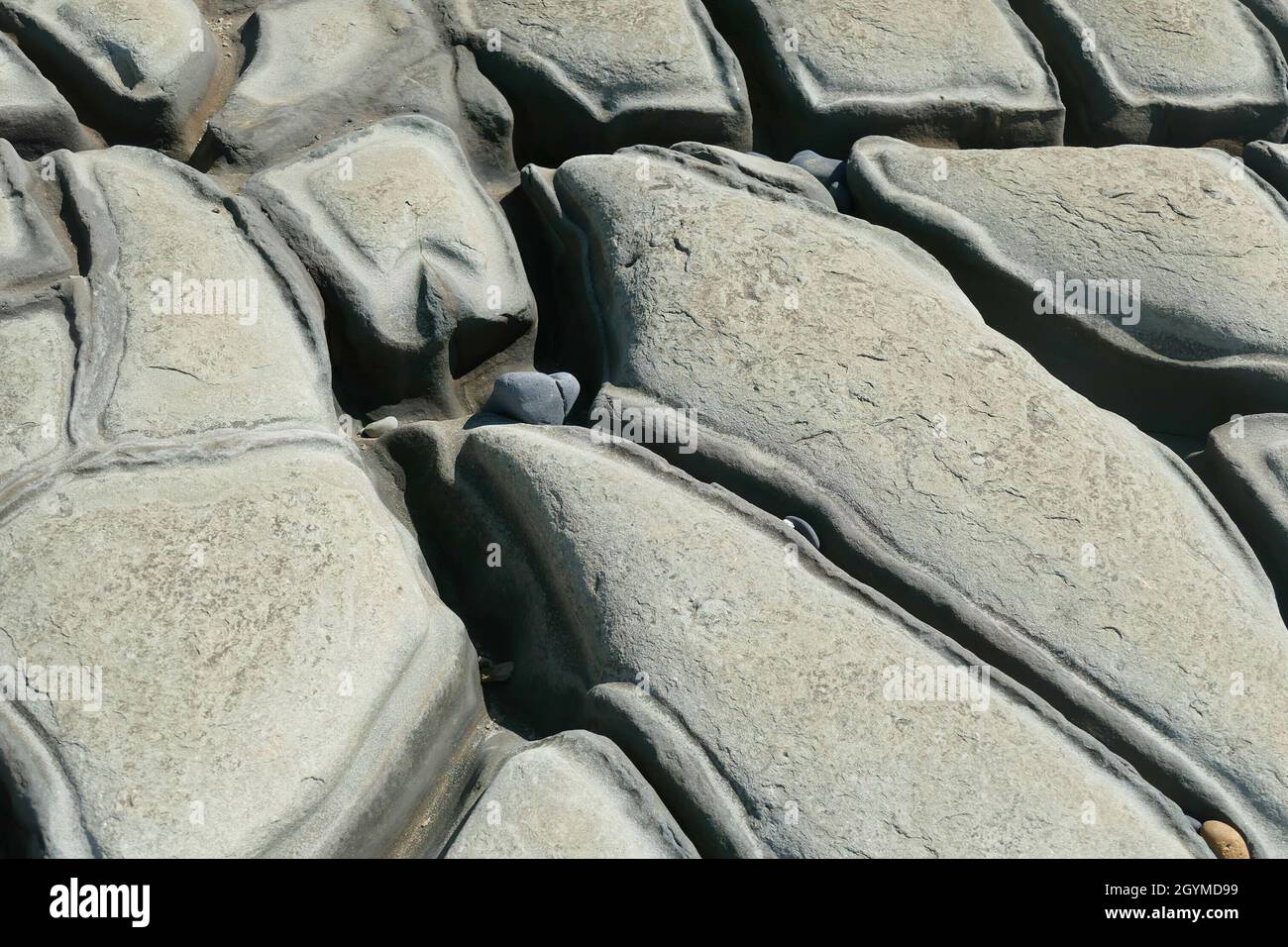 Geometric mudstone formations on Oregon beach Stock Photo - Alamy