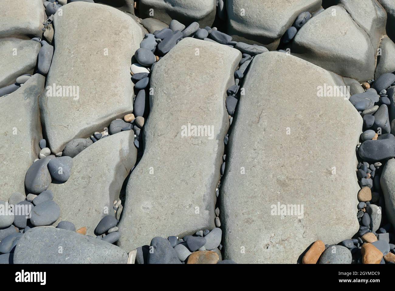 Geometric mudstone formations on Oregon beach Stock Photo - Alamy