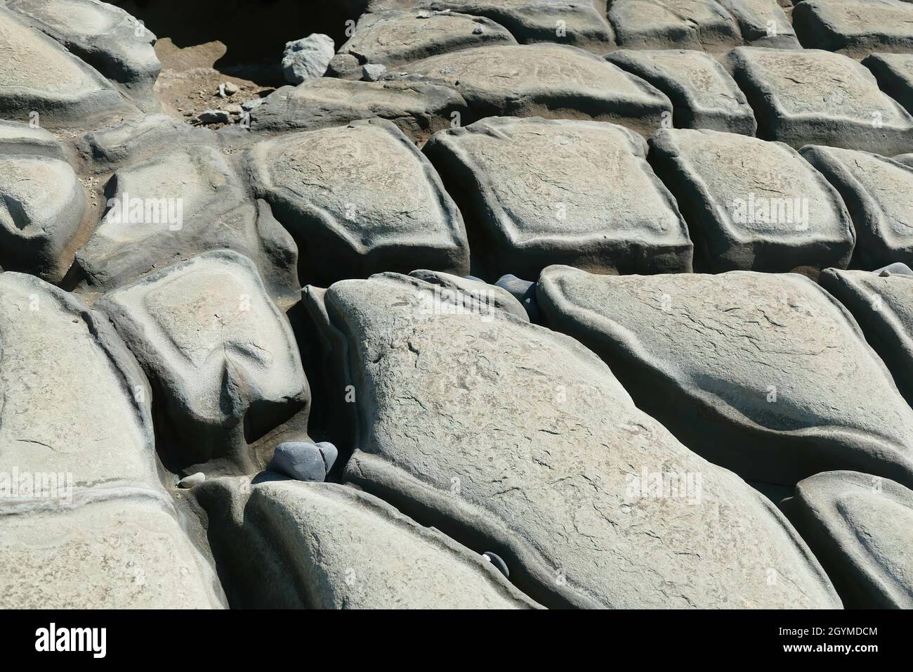 Geometric mudstone formations on Oregon beach Stock Photo - Alamy