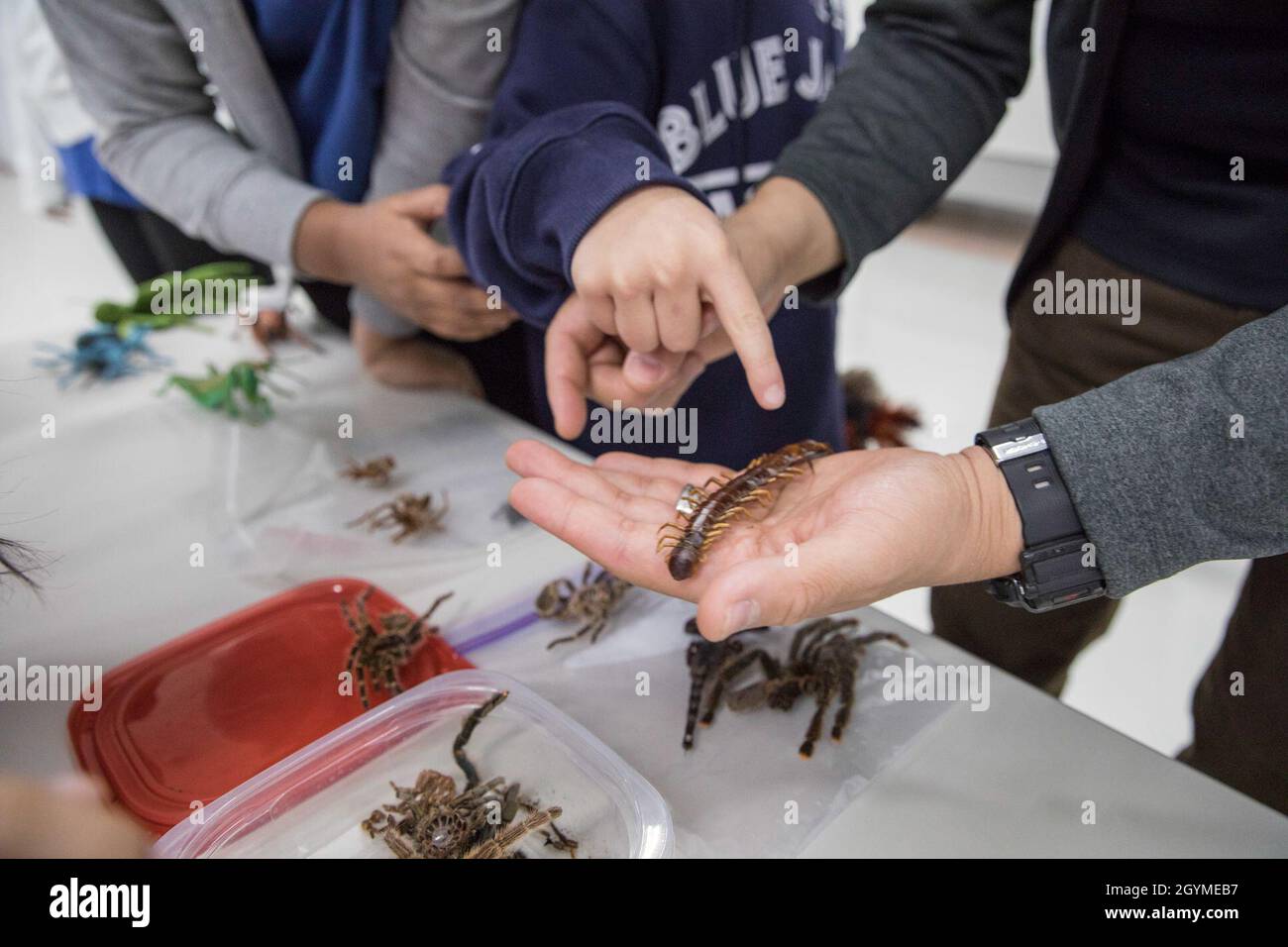 Ginowan school hi-res stock photography and images - Alamy