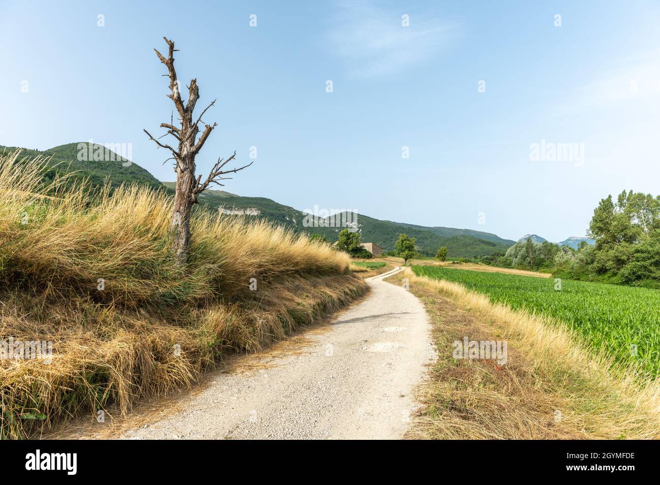 Walking path in a valley of the Drome. France, Meouge Stock Photo - Alamy