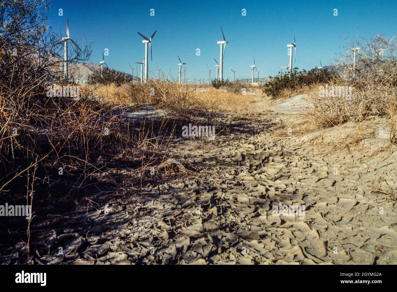 Mud springs wind hi-res stock photography and images - Alamy