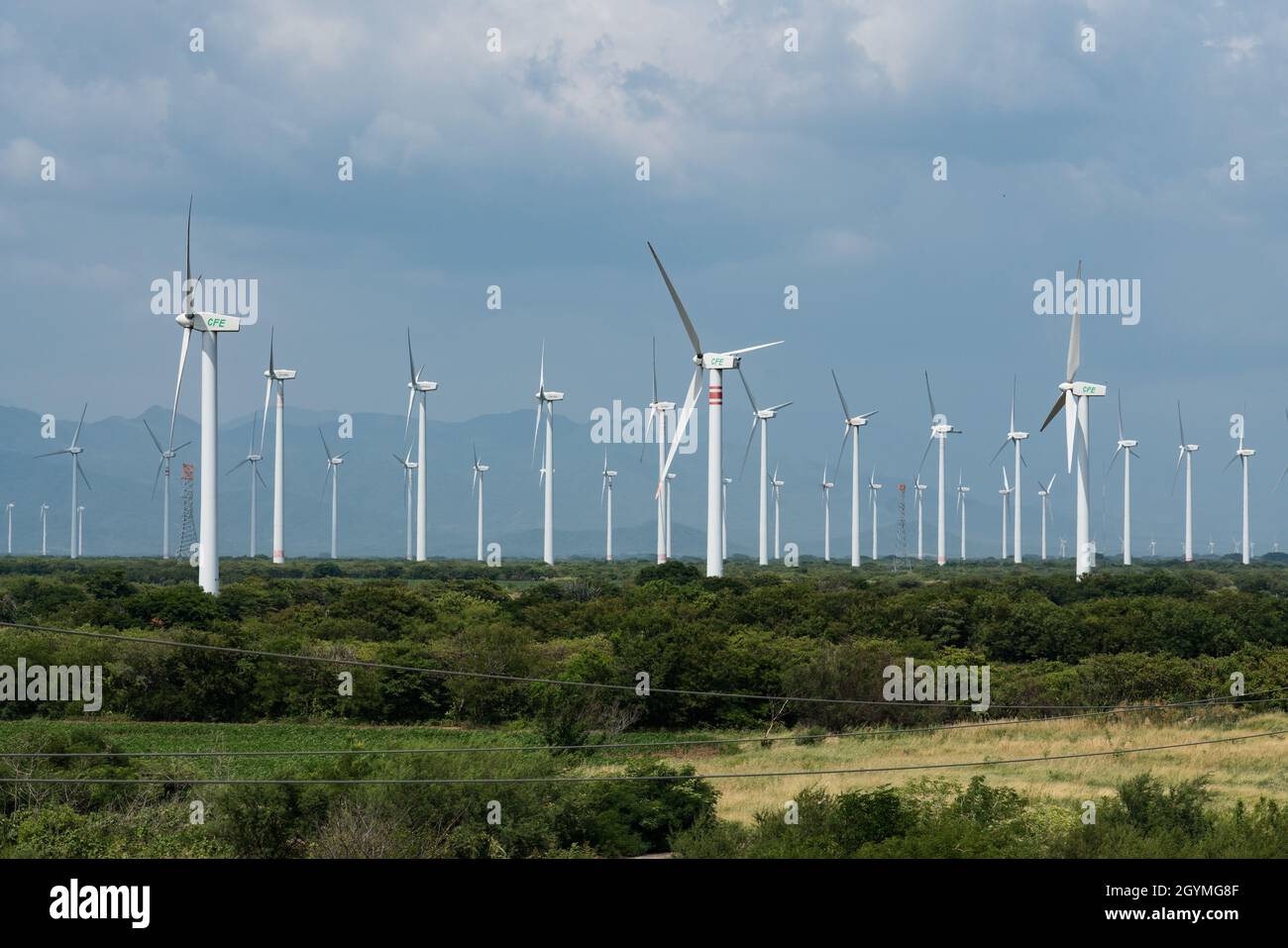 Wind turbine electricity generators in the windy region near La Ventosa ...