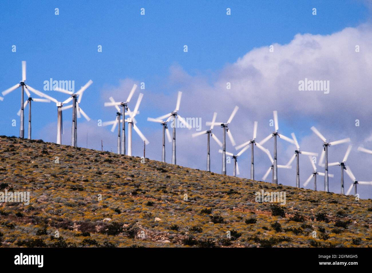 The spinning rotor blades of wind-powered electricity generators near ...