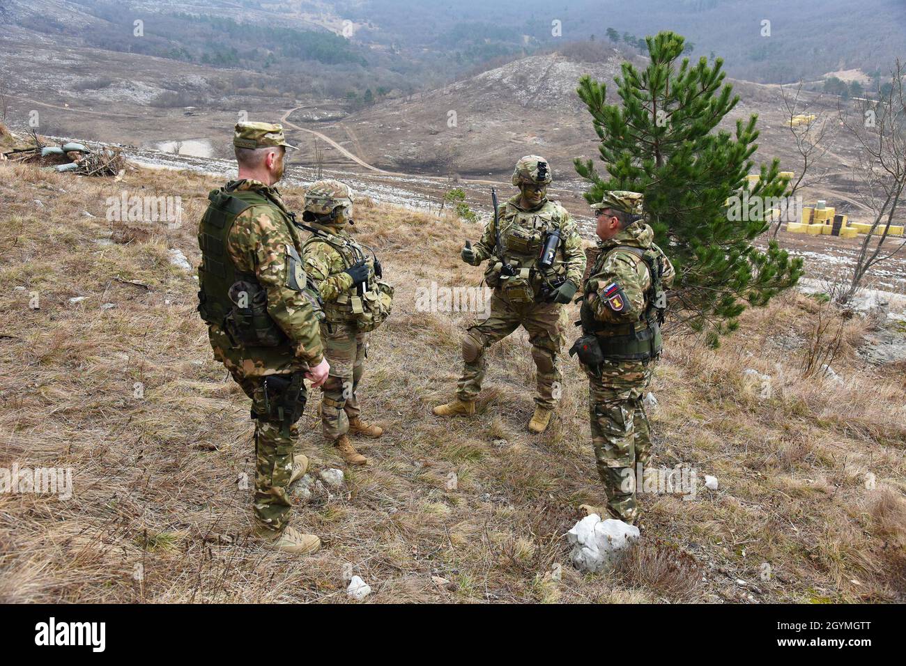 U.S. Army Lt. Col. Nathan A. Strohm, commander of 173rd Brigade Support ...