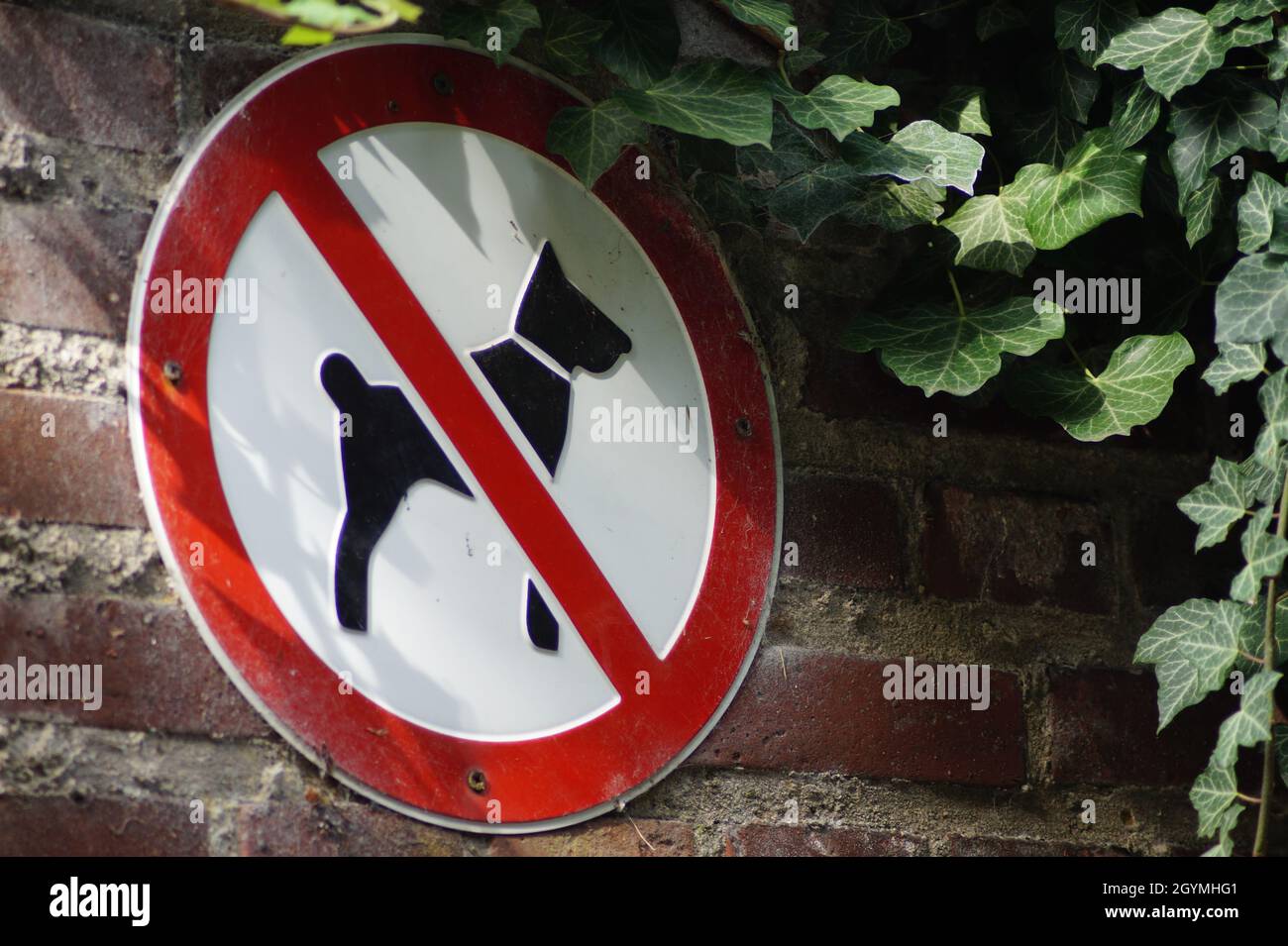 Dog walking regulation sign hi-res stock photography and images - Alamy