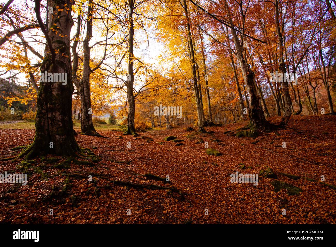 An elongated hill hi-res stock photography and images - Alamy