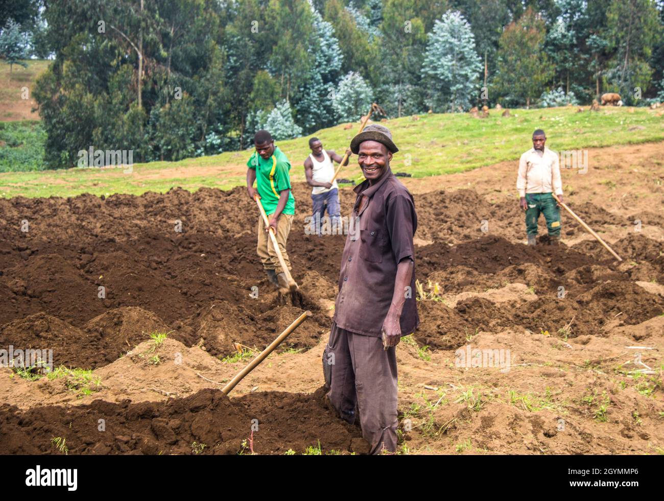 Kigali rwanda rice hi-res stock photography and images - Alamy