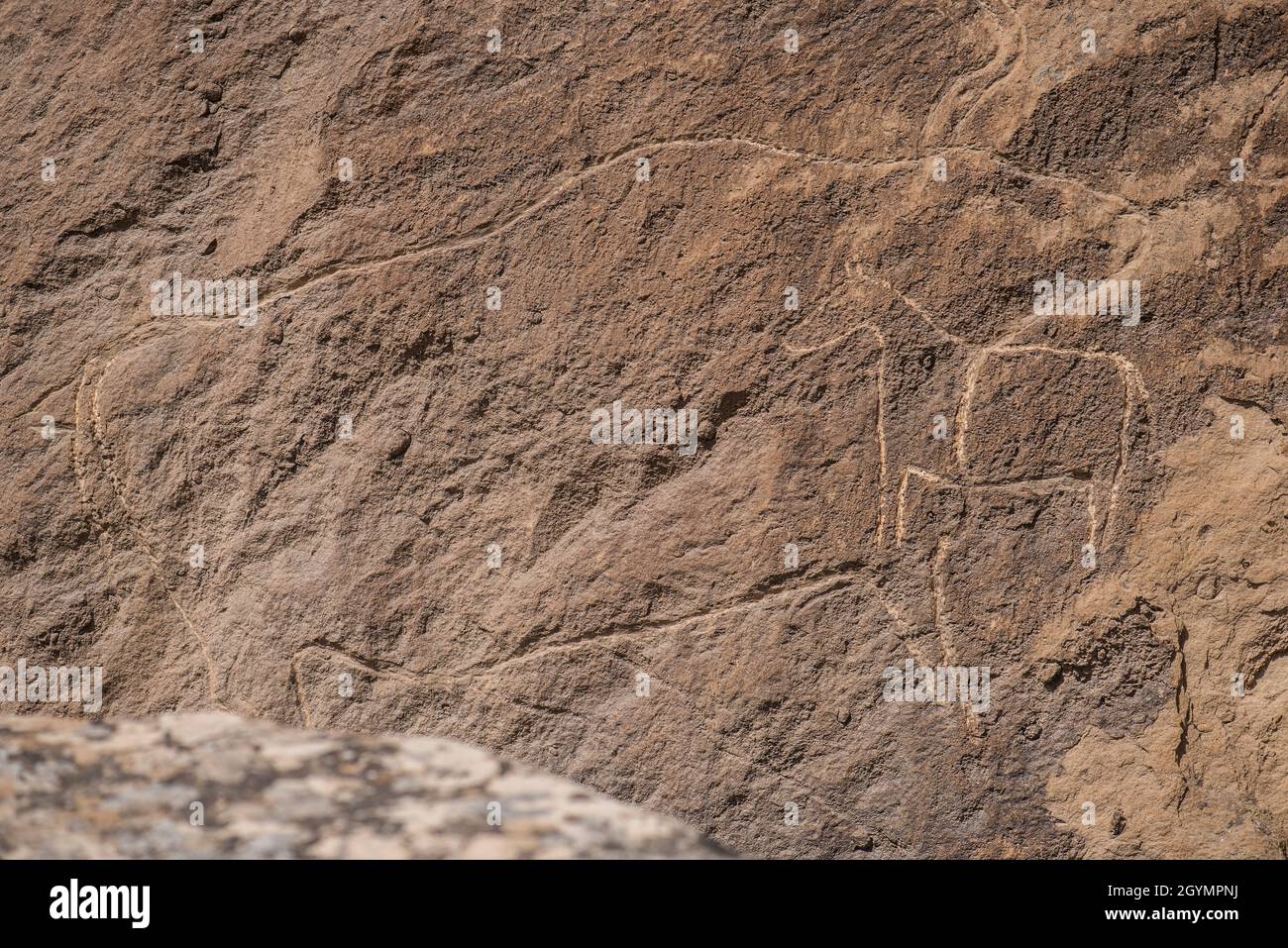 ancient rock carvings (petroglyphs), Gobustan, Azerbaijan Stock Photo ...