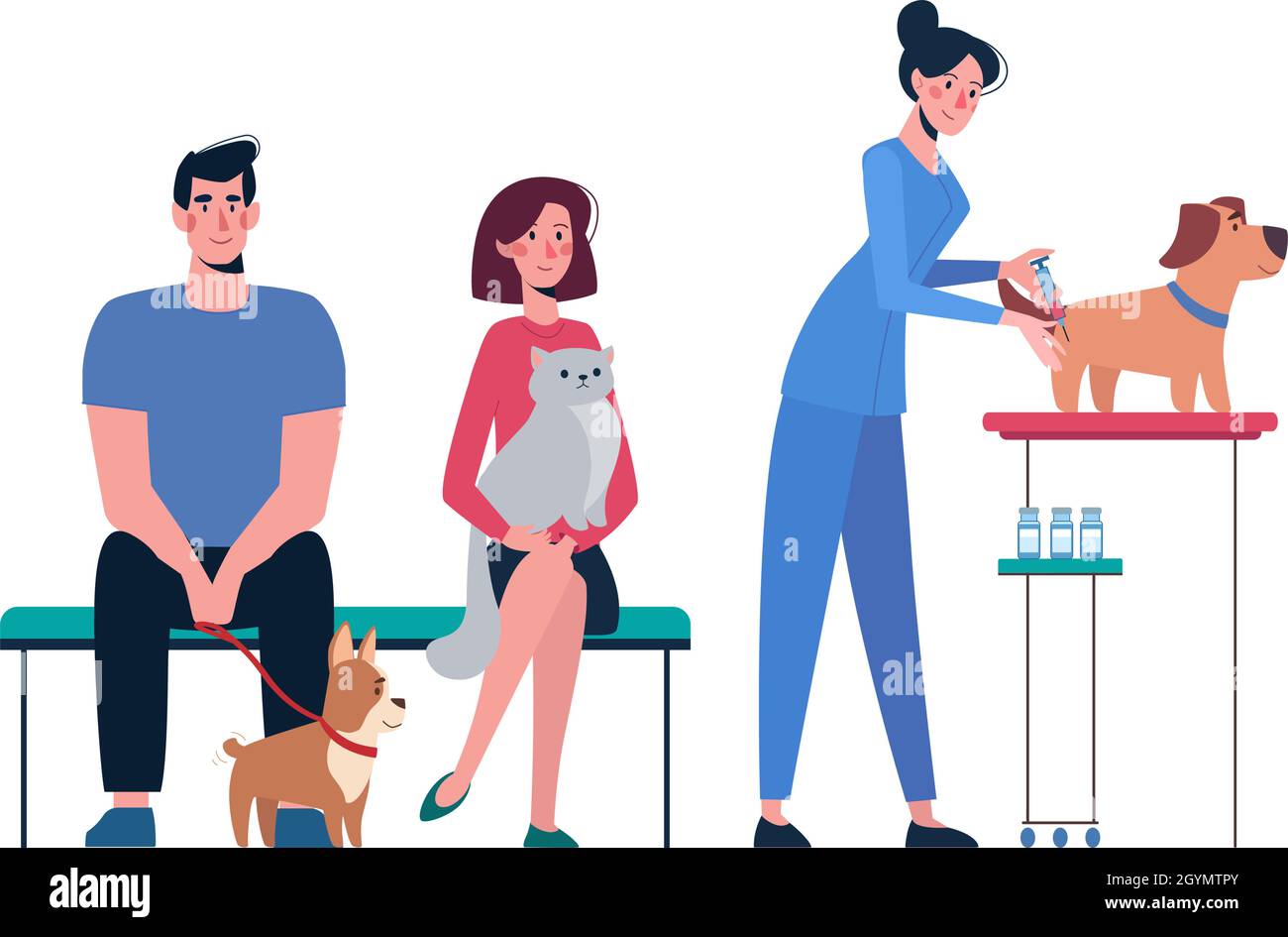 Vaccination of pets. Illustration with a veterinarian who vaccinates a ...