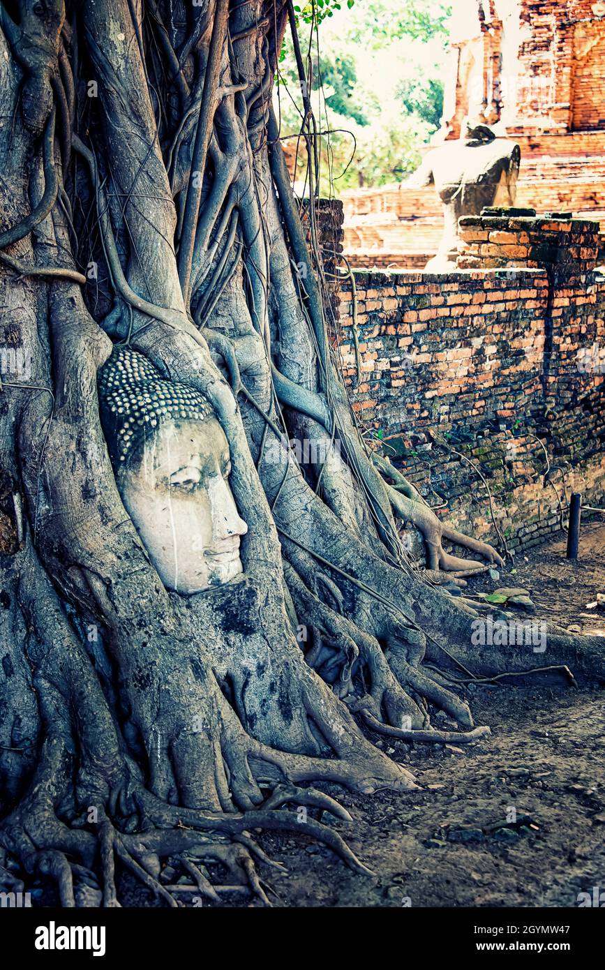 Head temple temple hi-res stock photography and images - Alamy