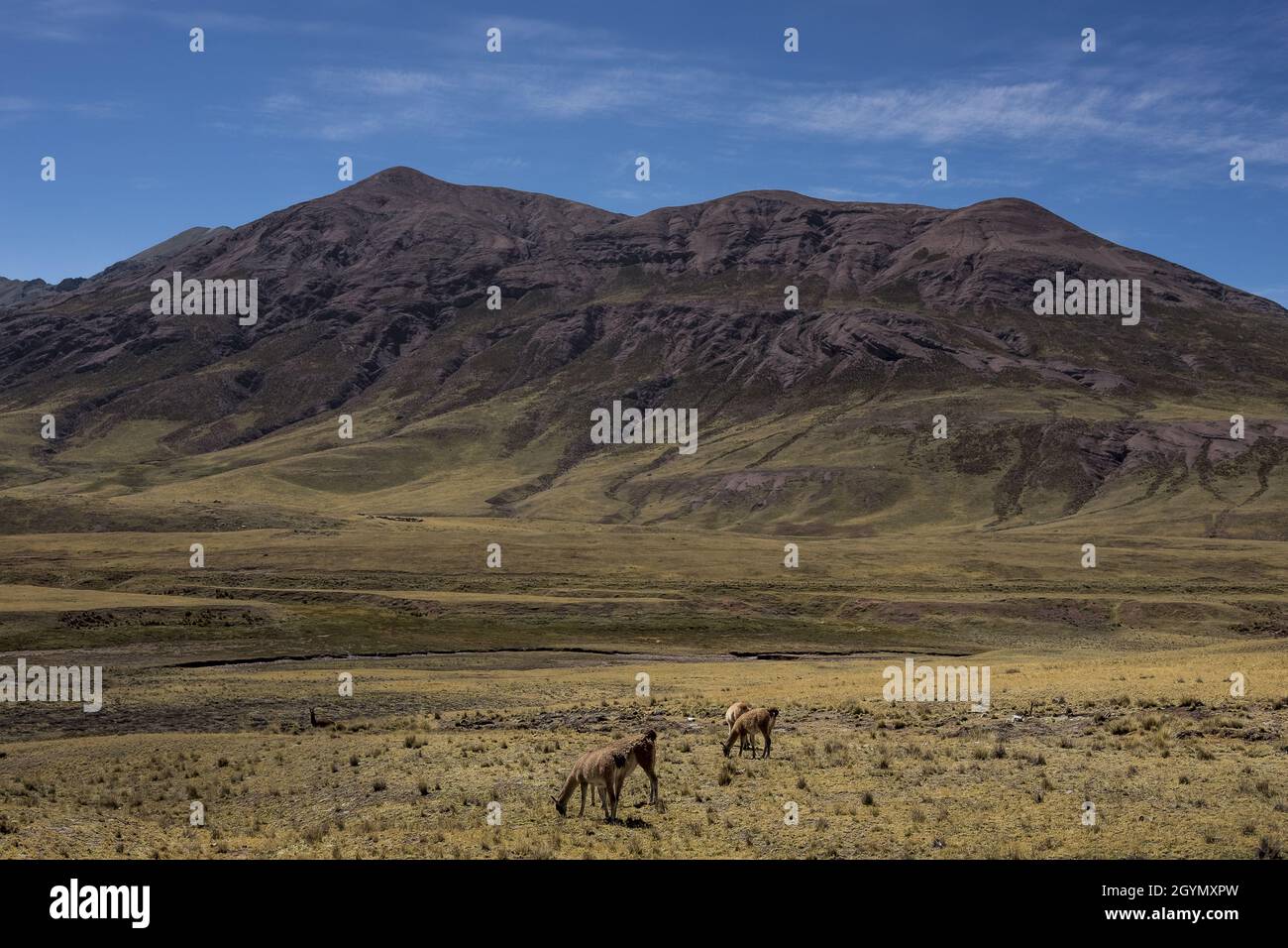 Peruvian High Mountains Stock Photo - Alamy