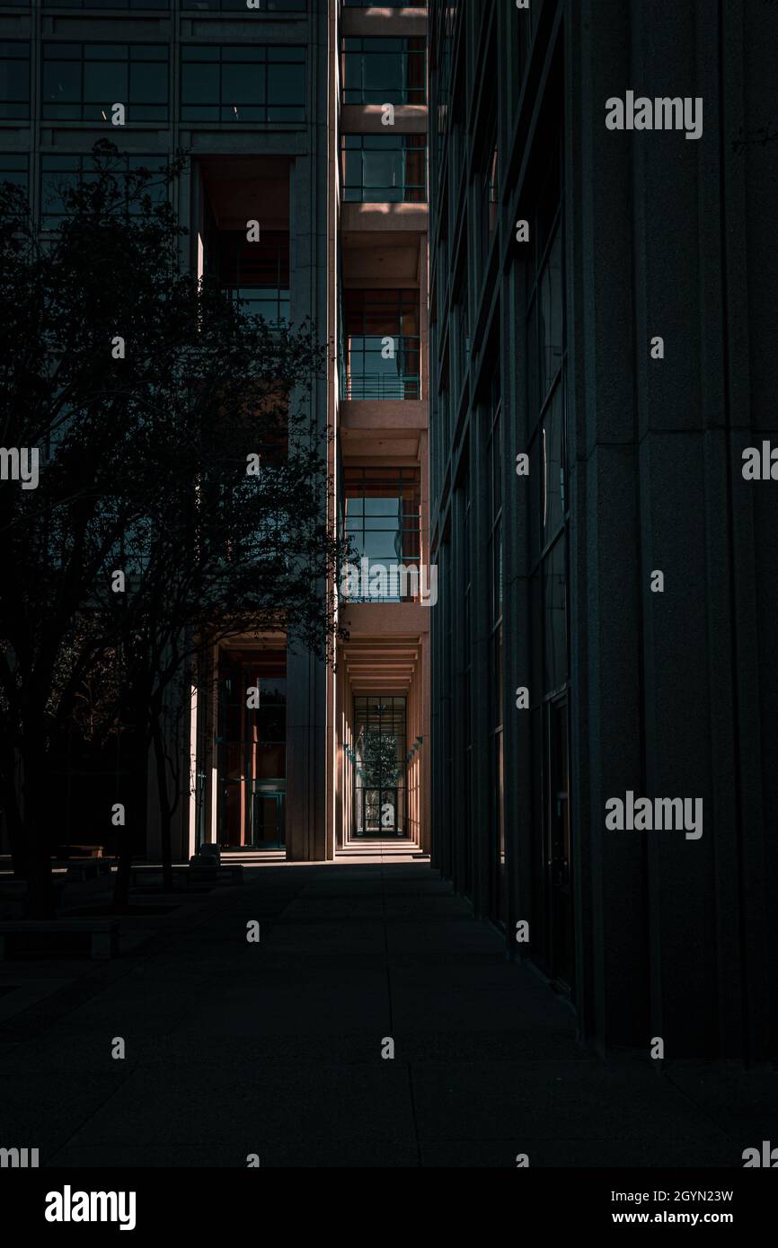 Vertical shot of modern glass-walled building with soft sunlight ...