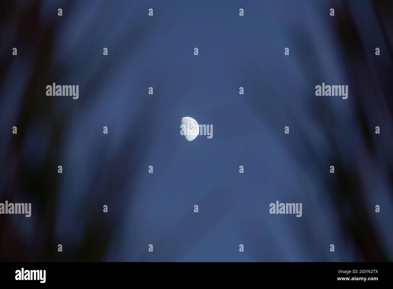 Moon View from desert of Al ULA (Hegra) Saudi Arabia Stock Photo - Alamy