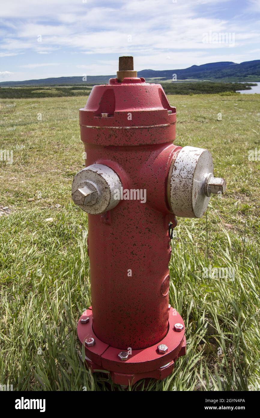 Vertical shot of a fire hydrant in a green field Stock Photo - Alamy