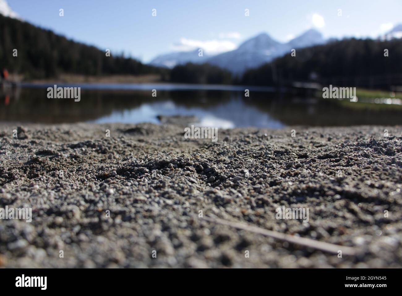 Closeup of rough ground surface with a view of lake, woods, and ...