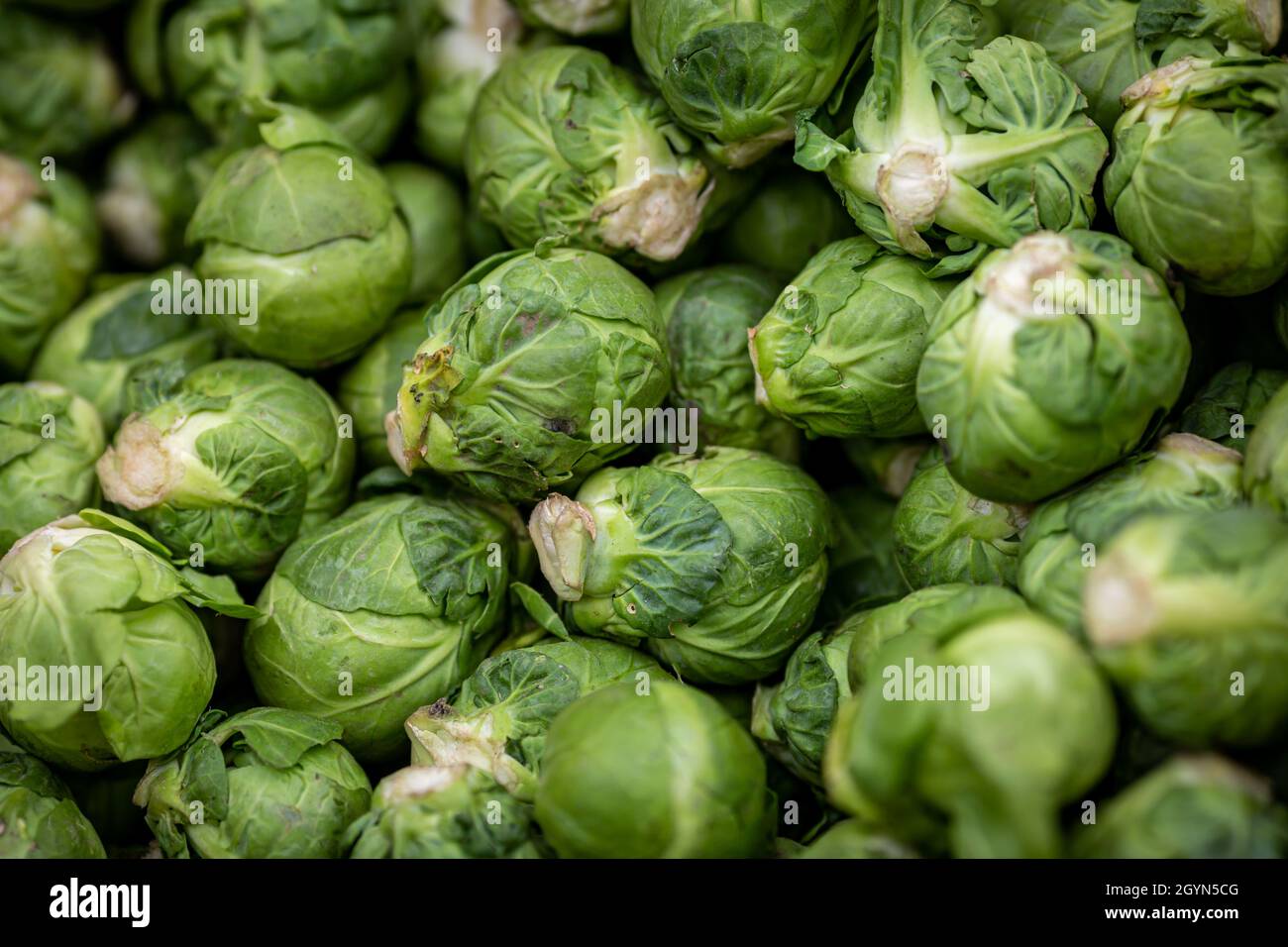 A full frame photograph of Brussel Sprouts for sale on a market stall ...