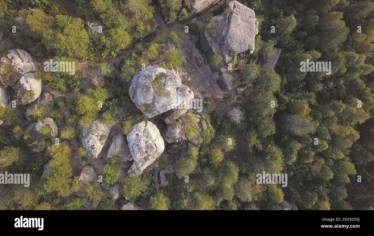 Bushes among stones of the mountain hi-res stock photography and images ...