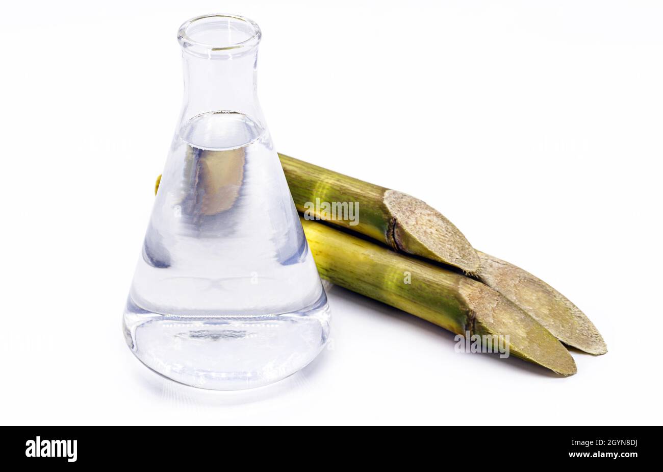 ethanol fuel on isolated white background with sugar cane on the side ...