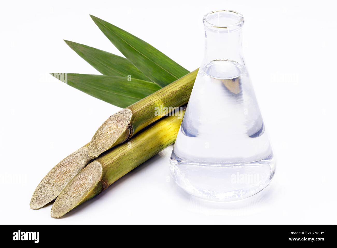 Brazilian ethanol biofuel, made with sugar cane, alternative fuel ...