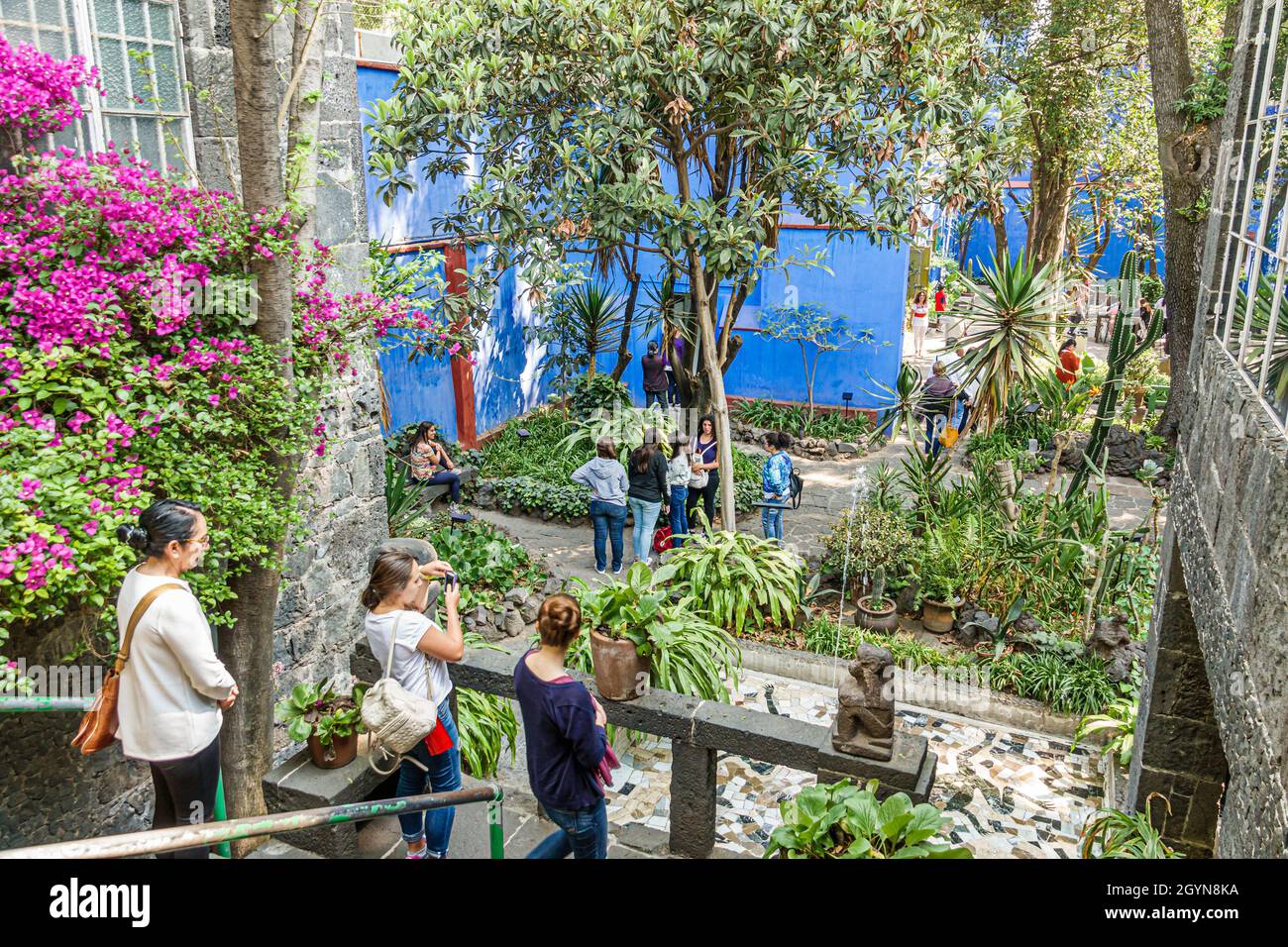 Mexico City,Mexican,Hispanic,Coyoacan,Del Carmen,Museum Museo Frida ...