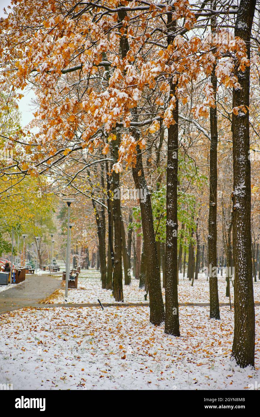 Early snow background, climate changing concept.Scenic morning ...