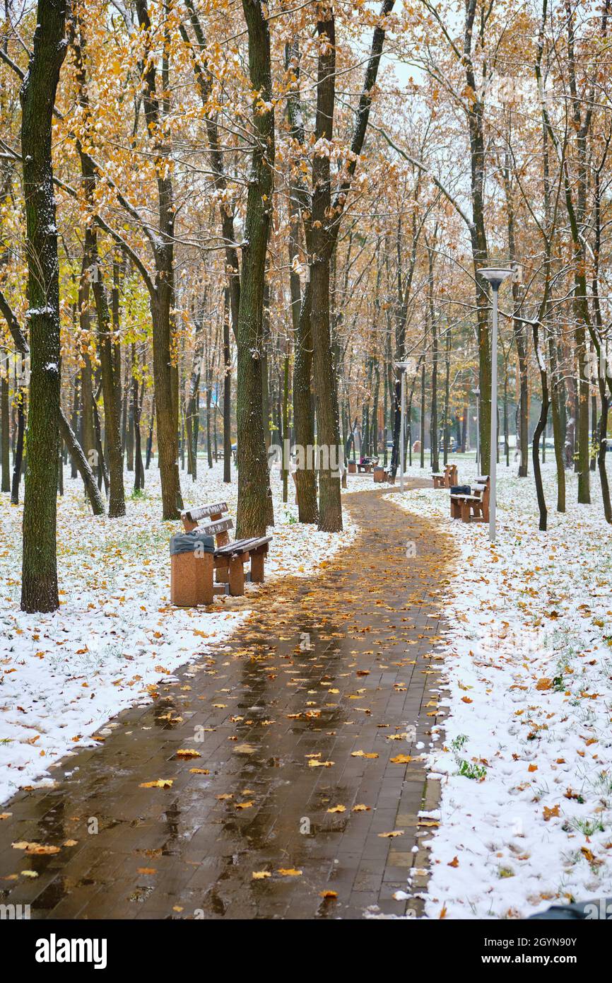 Early snow background, climate changing concept.Scenic morning ...