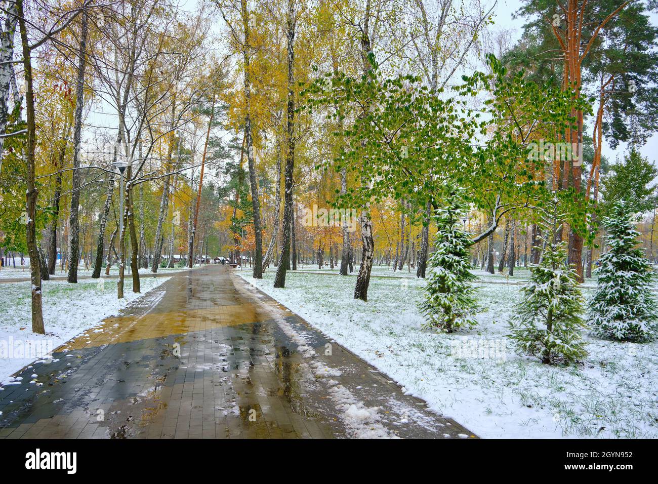 Early snow background, climate changing concept.Scenic morning ...