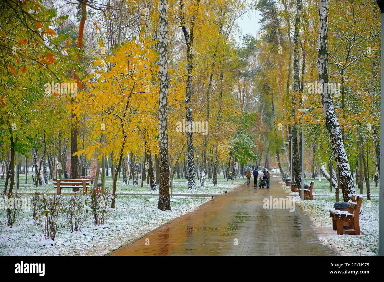 Early snow background, climate changing concept.Scenic morning ...