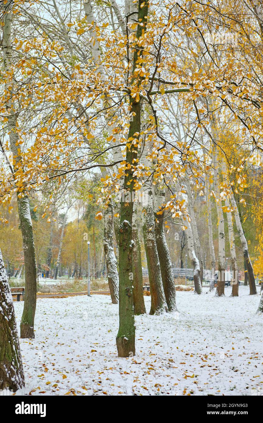 Early snow background, climate changing concept.Scenic morning ...