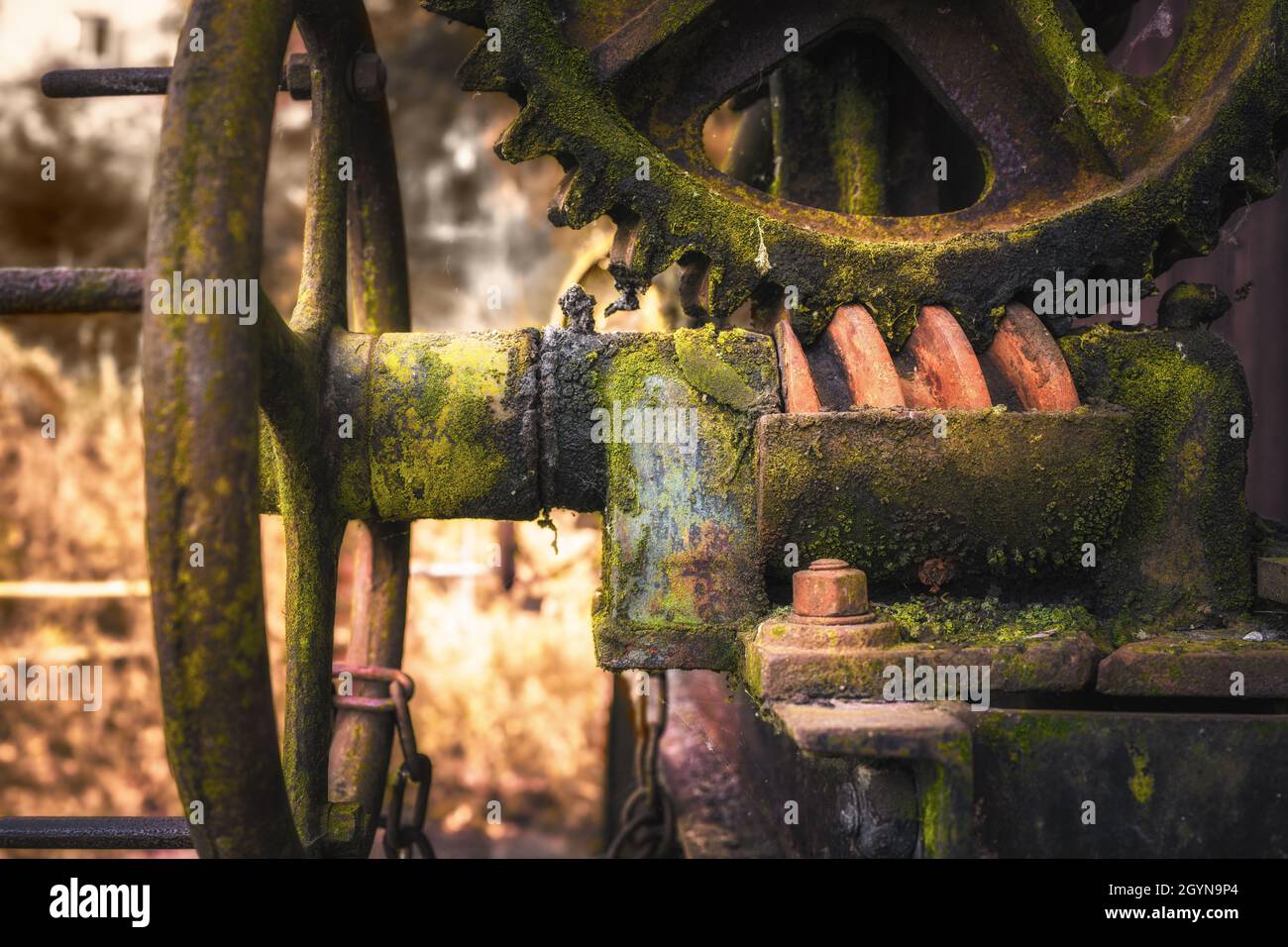Rusty gears from a valve Stock Photo - Alamy