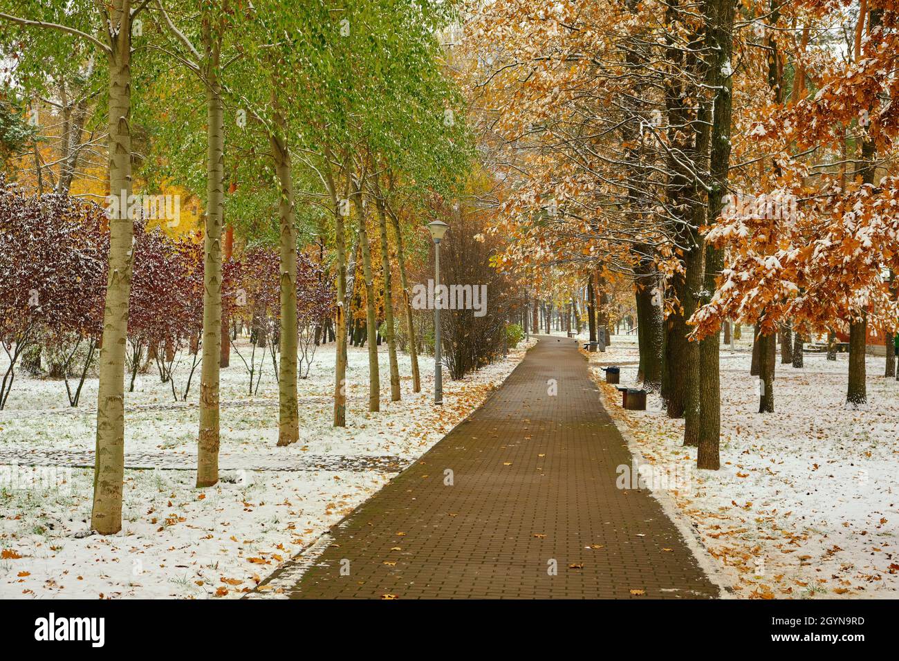 Early snow background, climate changing concept.Scenic morning ...