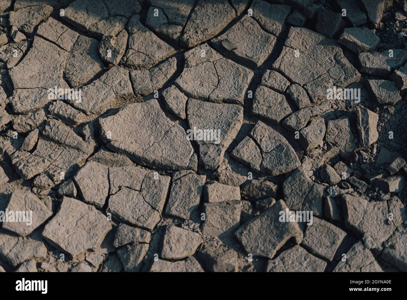 Land crack hi-res stock photography and images - Alamy