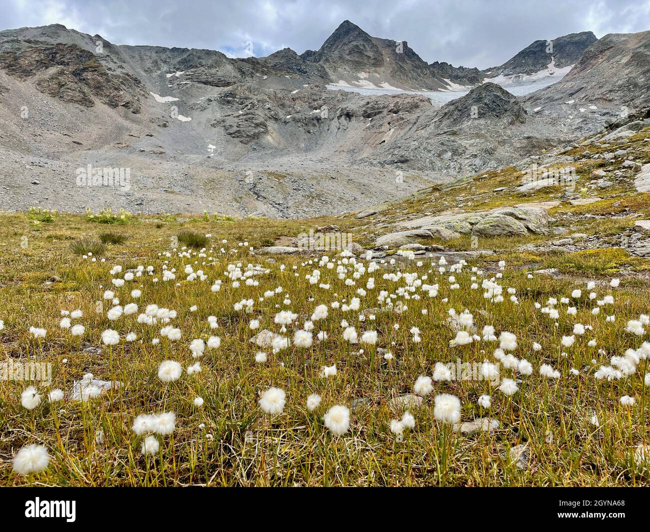 Lower engadine valley hi-res stock photography and images - Alamy