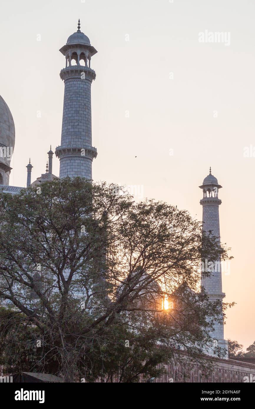 Minarets of Taj Mahal in Agra during sunset, India Stock Photo - Alamy