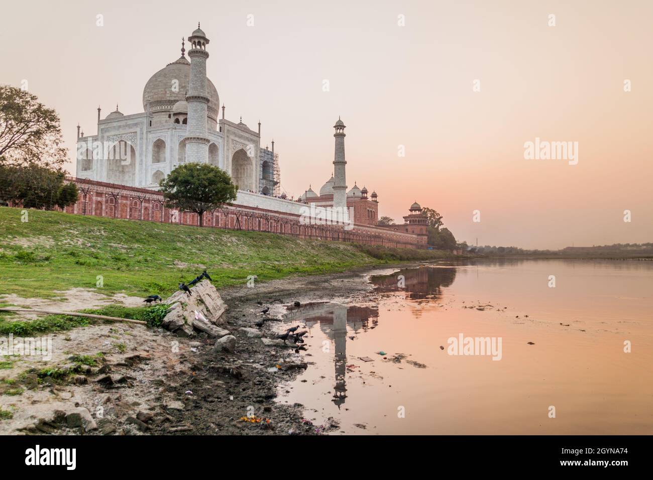 Taj mahal during sunrise hi-res stock photography and images - Alamy