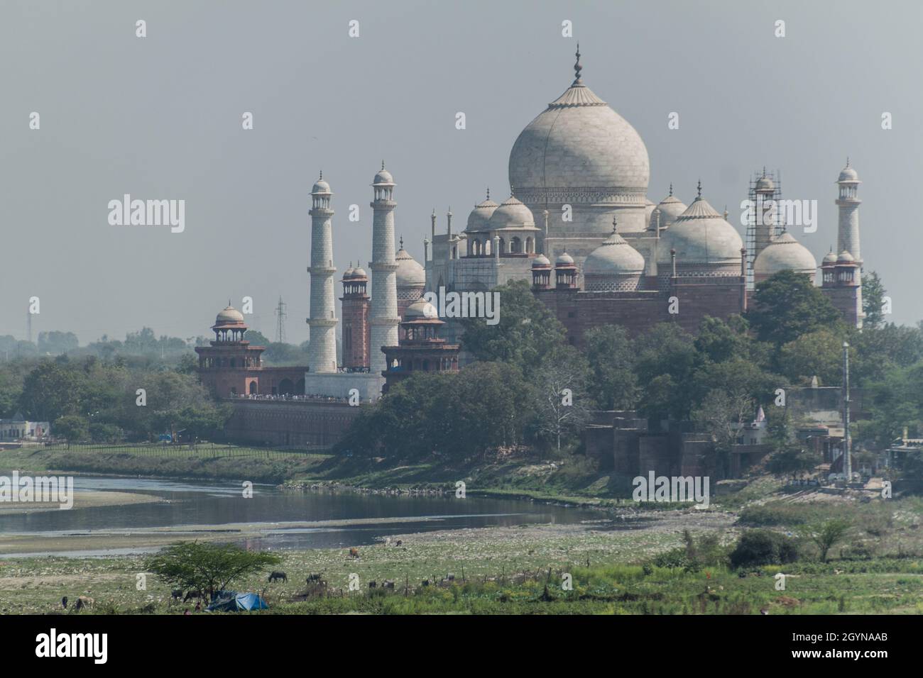 Taj Mahal as viewed from Agra Fort, Uttar Pradesh state, India Stock ...