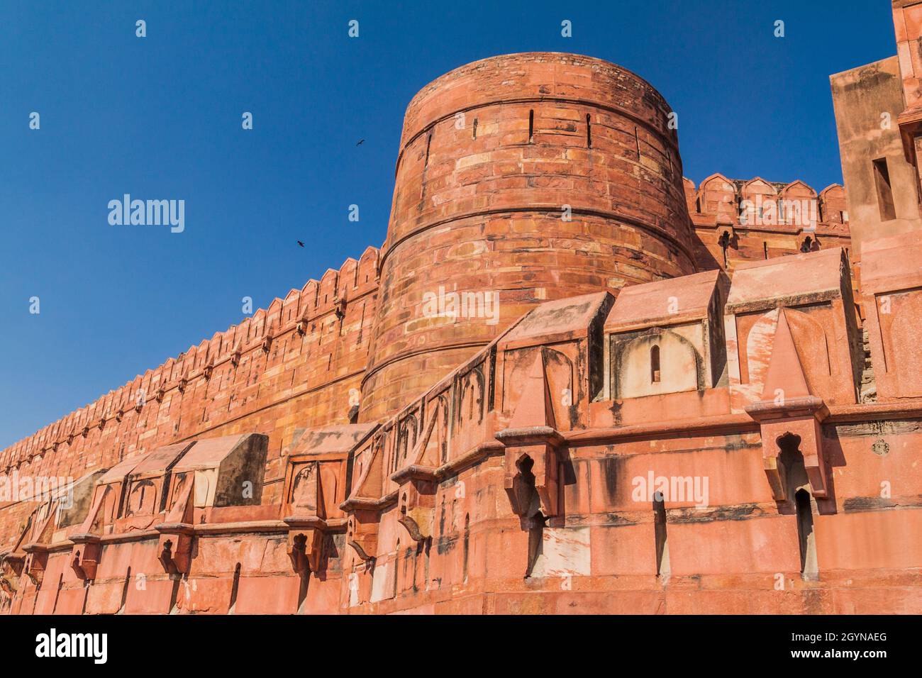 Walls of Agra Fort, Uttar Pradesh state, India Stock Photo - Alamy