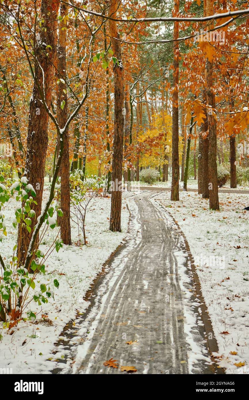 Early snow background, climate changing concept.Scenic morning ...