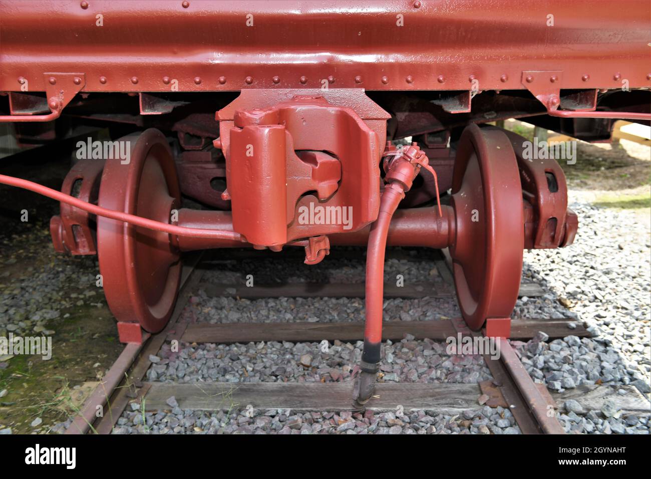 Shipping vegetable and cotton seed by rail on the Cotton Belt Route ...