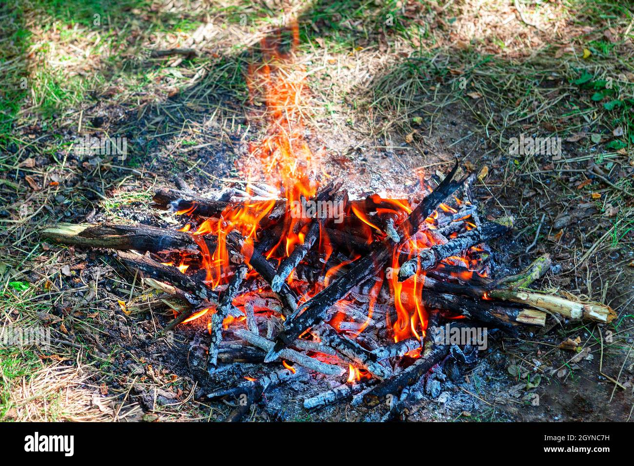 Coals In The Fire . Bonfire in the forest Stock Photo - Alamy