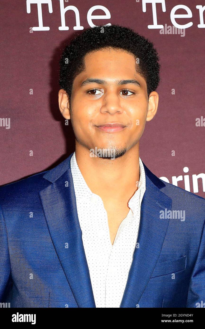 Los Angeles, CA. 3rd Oct, 2021. Rhenzy Feliz at arrivals for THE TENDER BAR Premiere, Directors ...